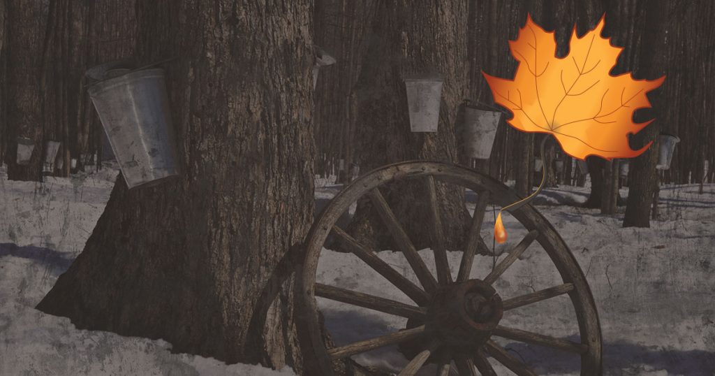 Maple Syrup Labels - Maple Syrup Labels