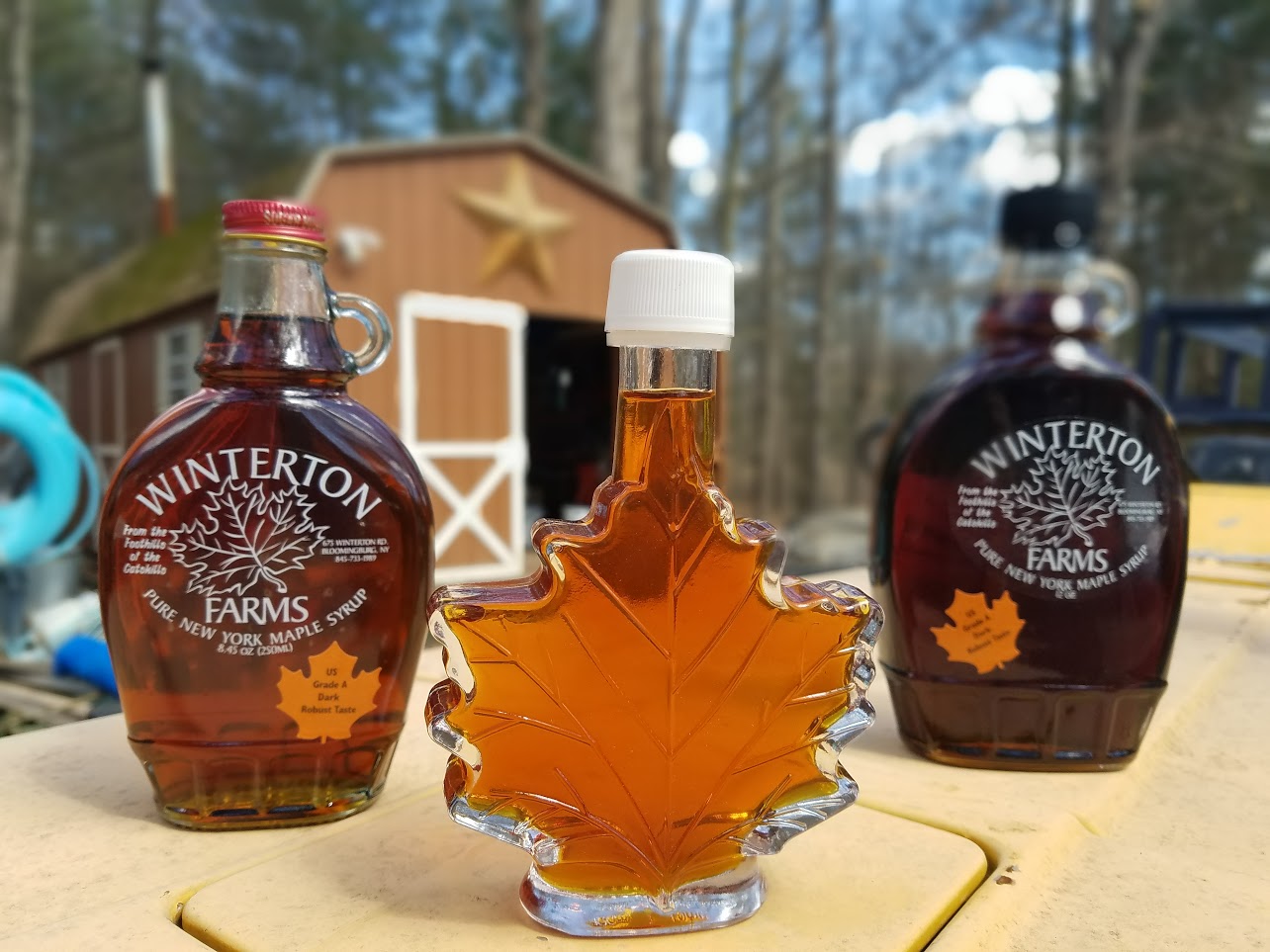 Winterton Farms clear labels with white printing 2 041917 - Maple Syrup ...
